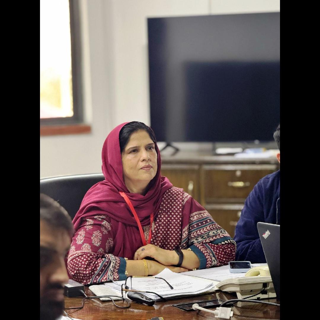 RLMC - Research Cell